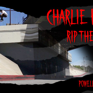 Rip The Ripper - Charlie Horse - Blog - Powell-Peralta®