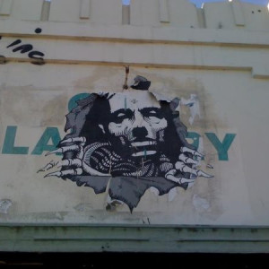 LA Ripper - Blog - Powell-Peralta®